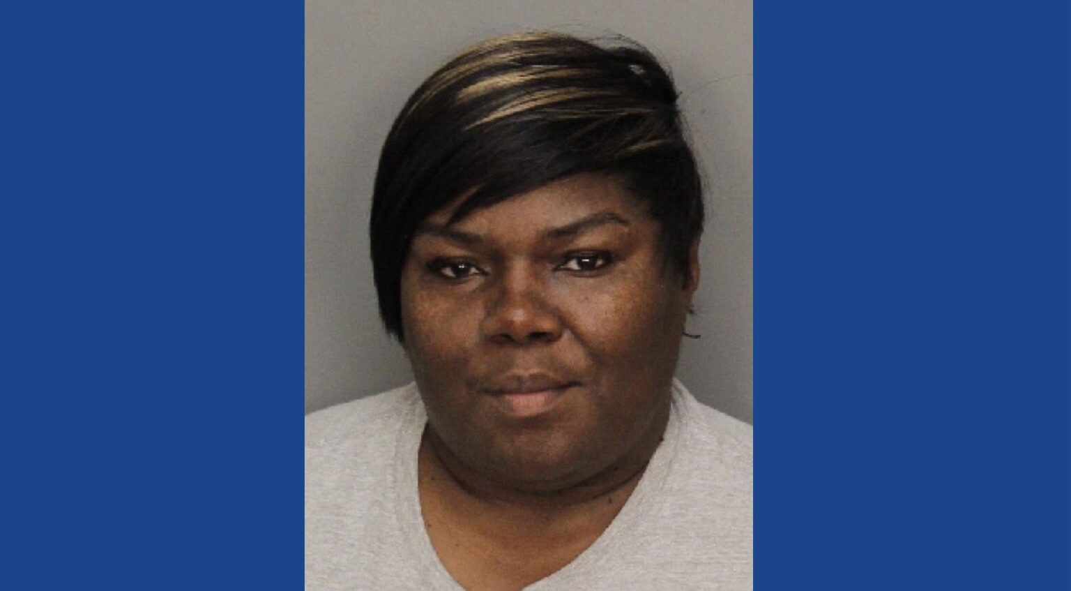 Police searching for wanted theft suspect in Alabama - Ohio Statewide